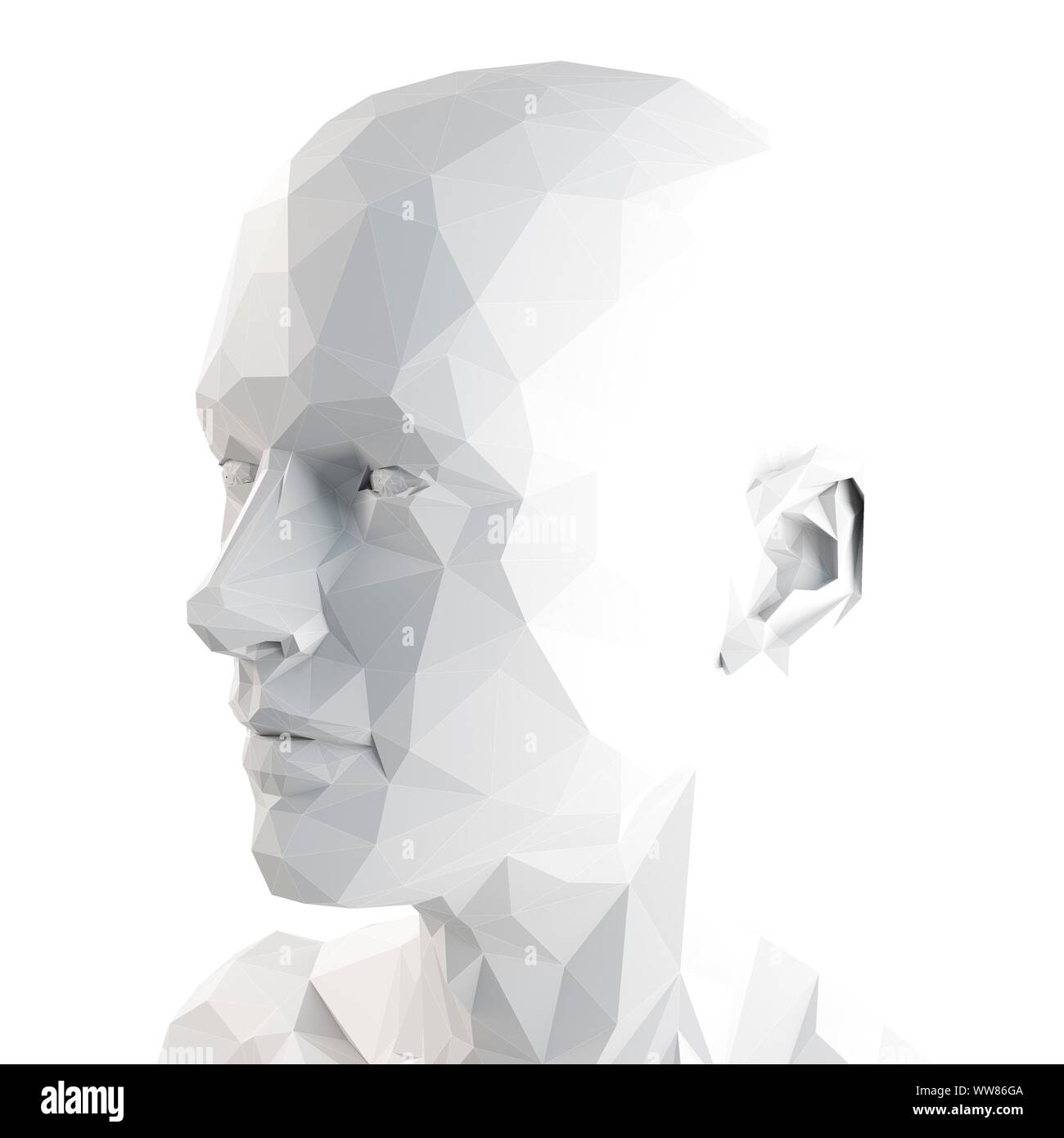 Human head, illustration Stock Photo - Alamy