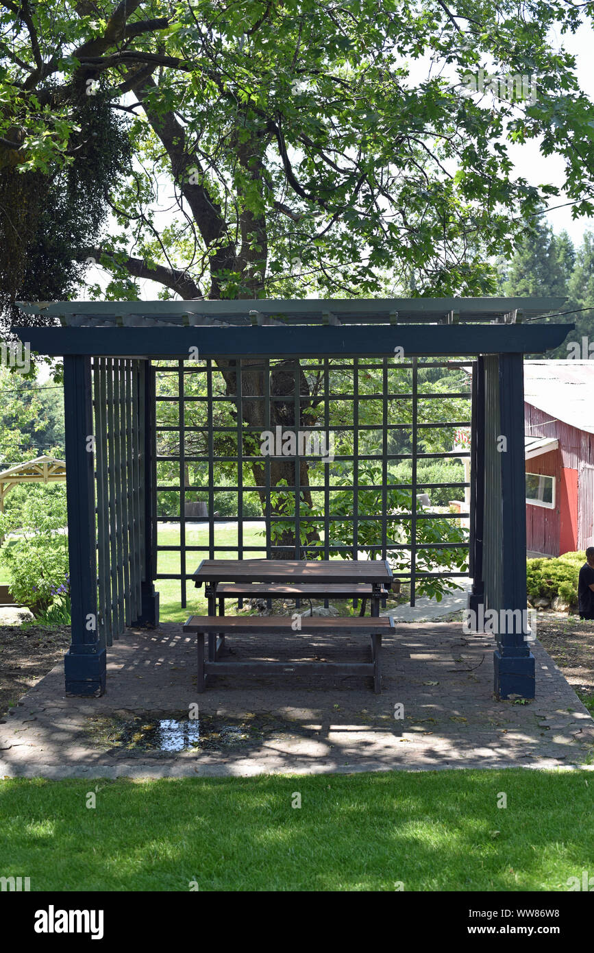 Picnic Table under Trees Stock Photo - Alamy