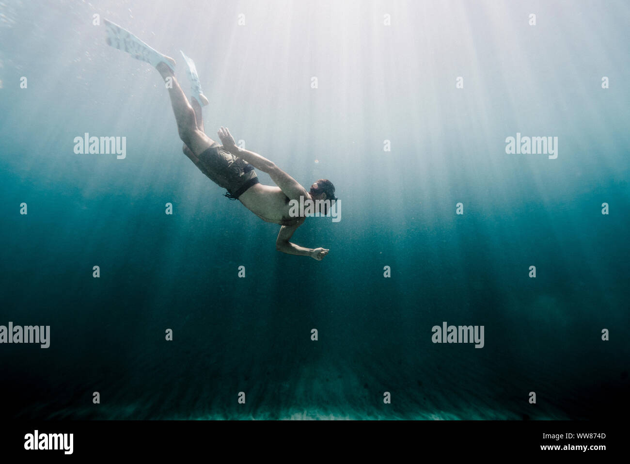 Man Swimming Underwater Ocean Free Stock Photo Of Man Swimming In
