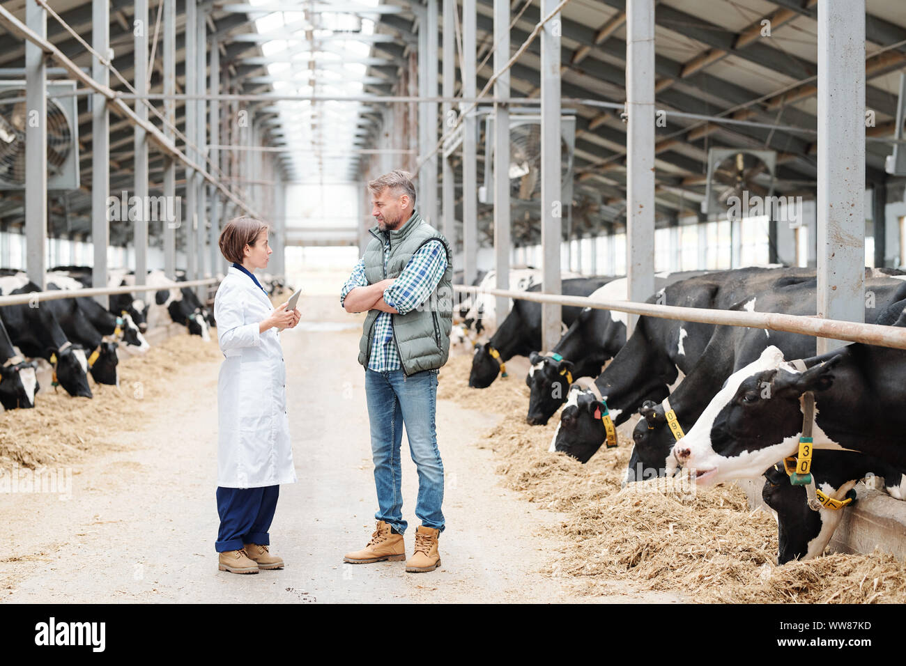 Female females farm worker hi-res stock photography and images - Alamy