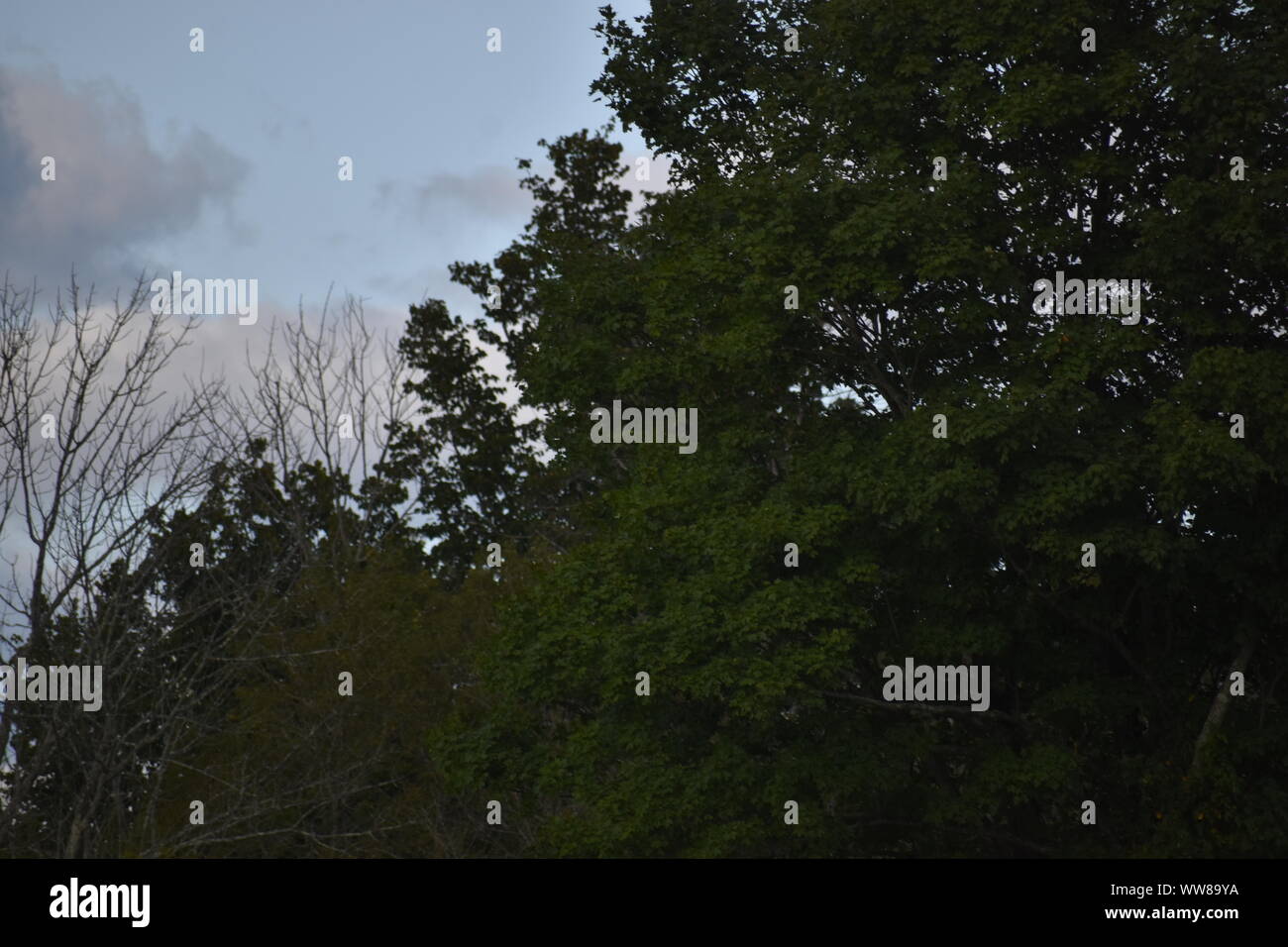 outdoor picture in various location Stock Photo - Alamy