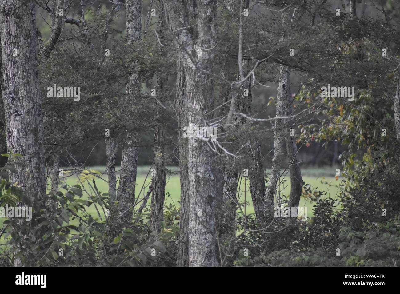 outdoor picture in various location Stock Photo - Alamy