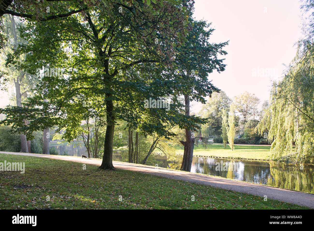 Netherlands, Groningen, Noorderplantsoen Park Stock Photo - Alamy