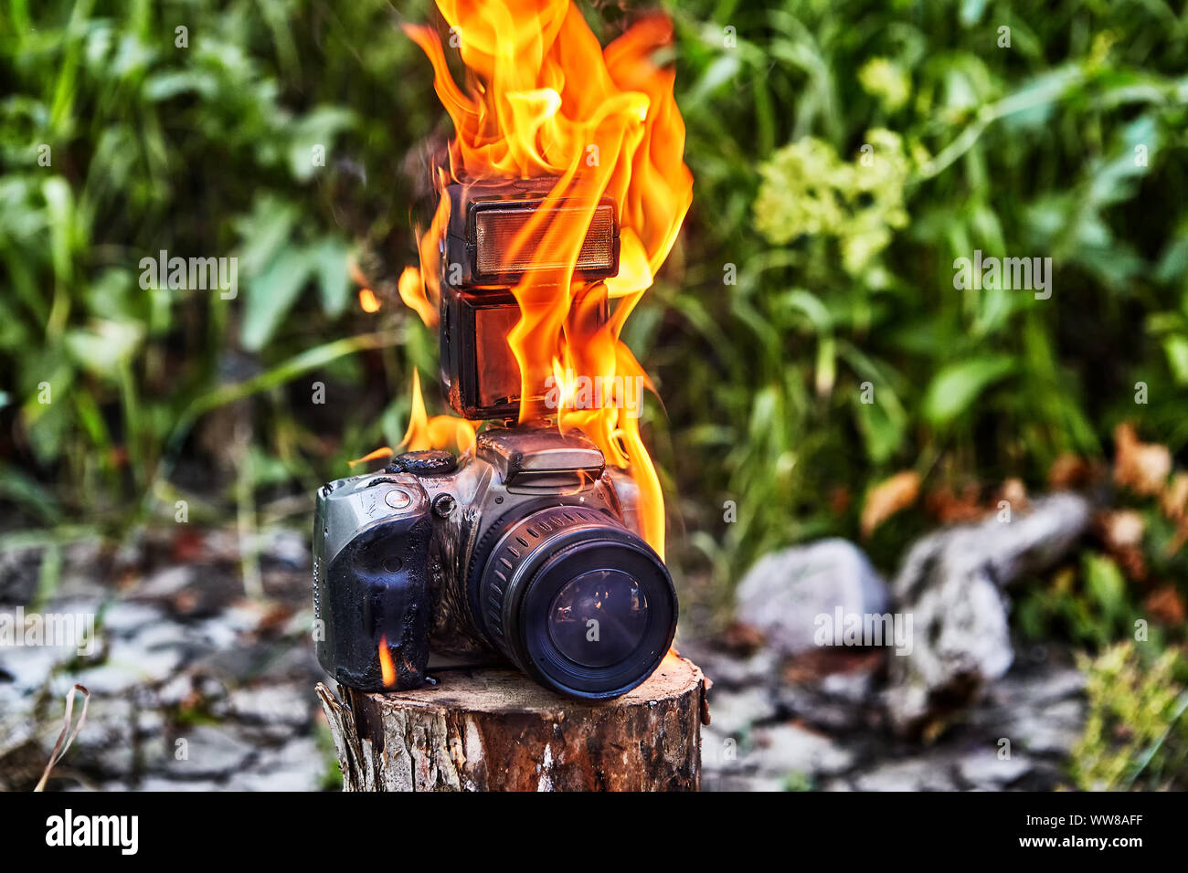 Forest fire destroyed the camera tourists. A camera forgotten in a ...