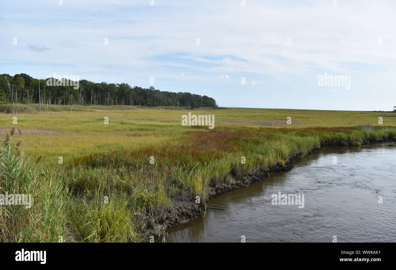 Marsh land new jersey hi-res stock photography and images - Alamy