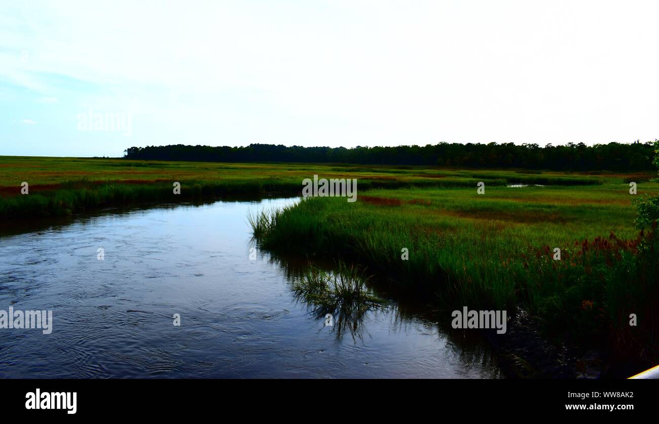 Marsh land new jersey hi-res stock photography and images - Alamy