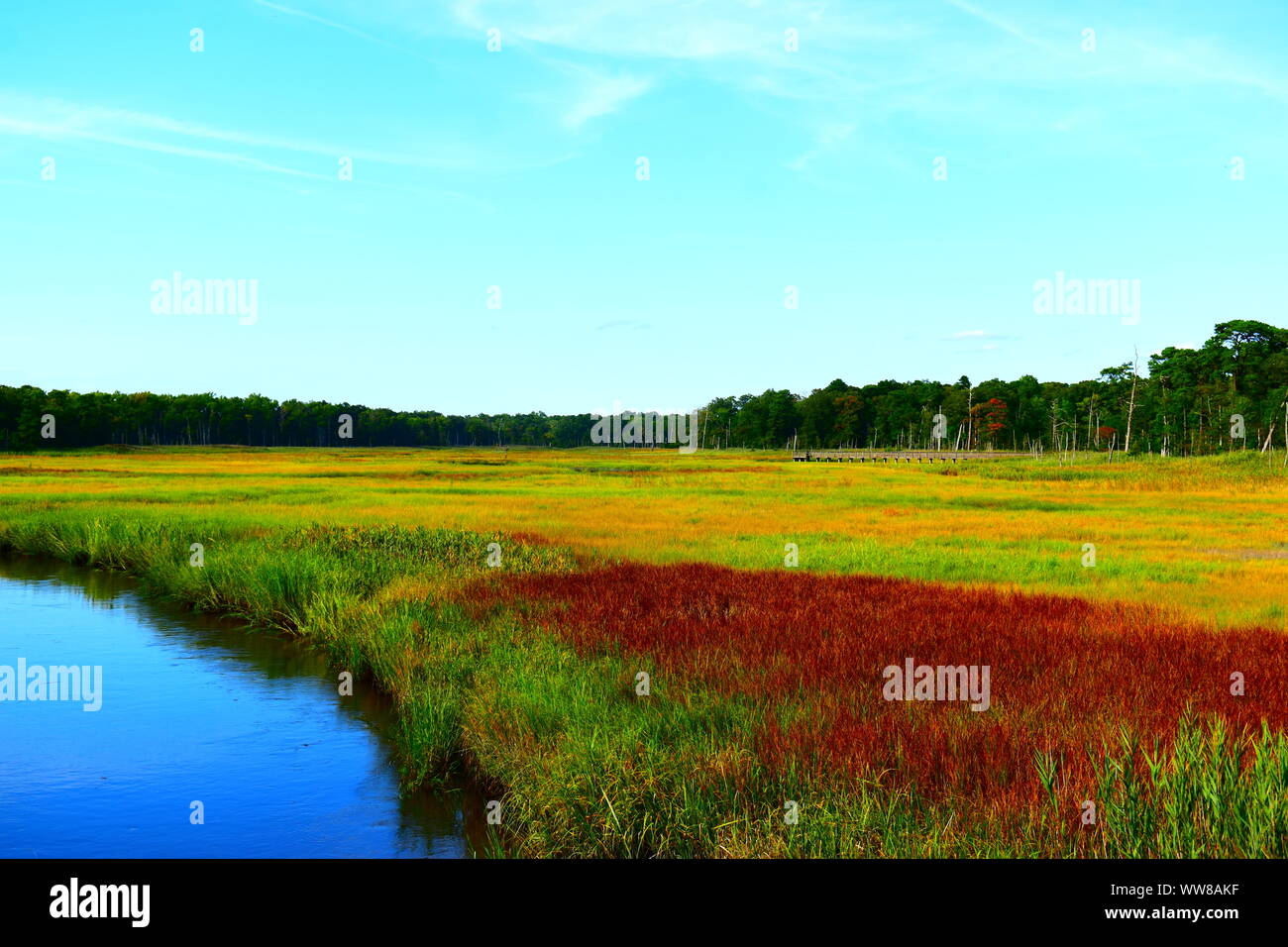 Marsh land new jersey hi-res stock photography and images - Alamy