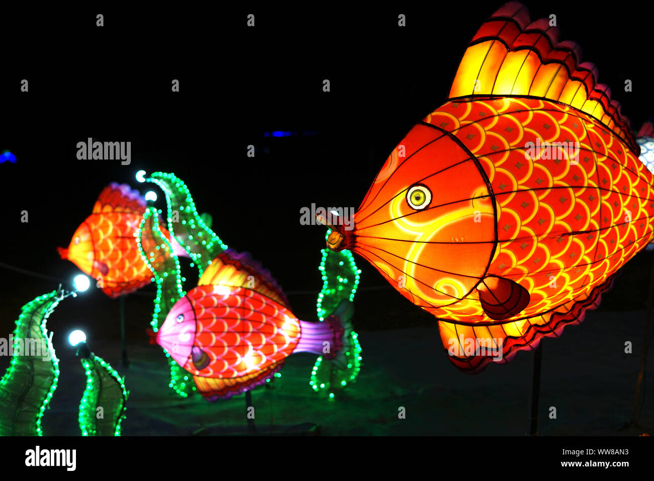 Asian fish lantern hi-res stock photography and images - Alamy