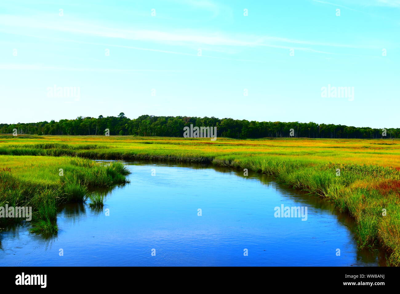 Marsh land new jersey hi-res stock photography and images - Alamy