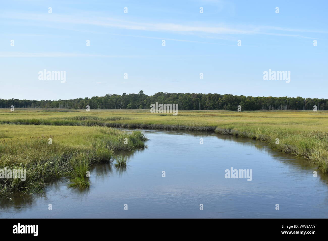 Marsh land new jersey hi-res stock photography and images - Alamy