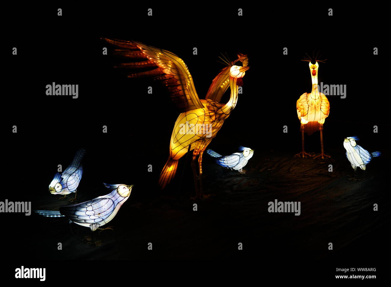 Chinese lantern festival birds hi-res stock photography and images - Alamy