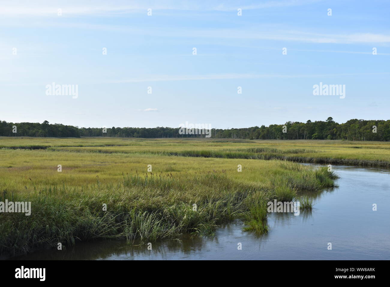 Marsh land new jersey hi-res stock photography and images - Alamy