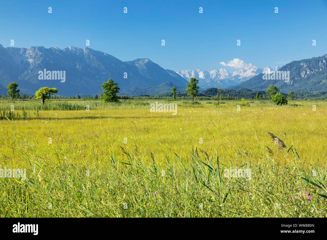 Murnauer Moos against Wetterstein Mountains with Zugspitze, Murnau am ...