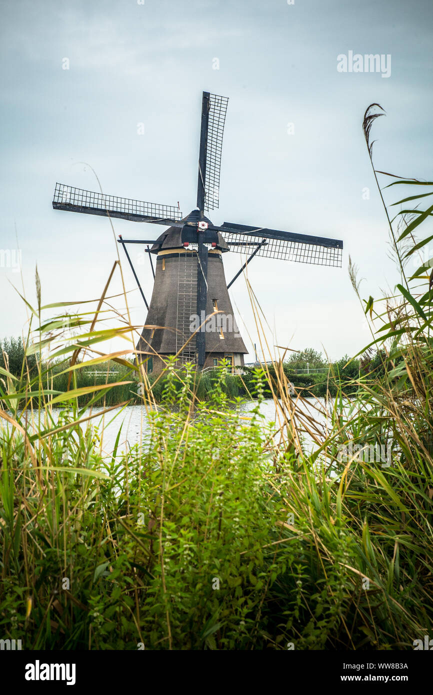 View of traditional Dutch Windmill and landscape seen from Kinderdijk ...