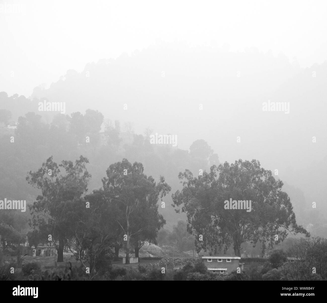 Llayered hi-res stock photography and images - Alamy