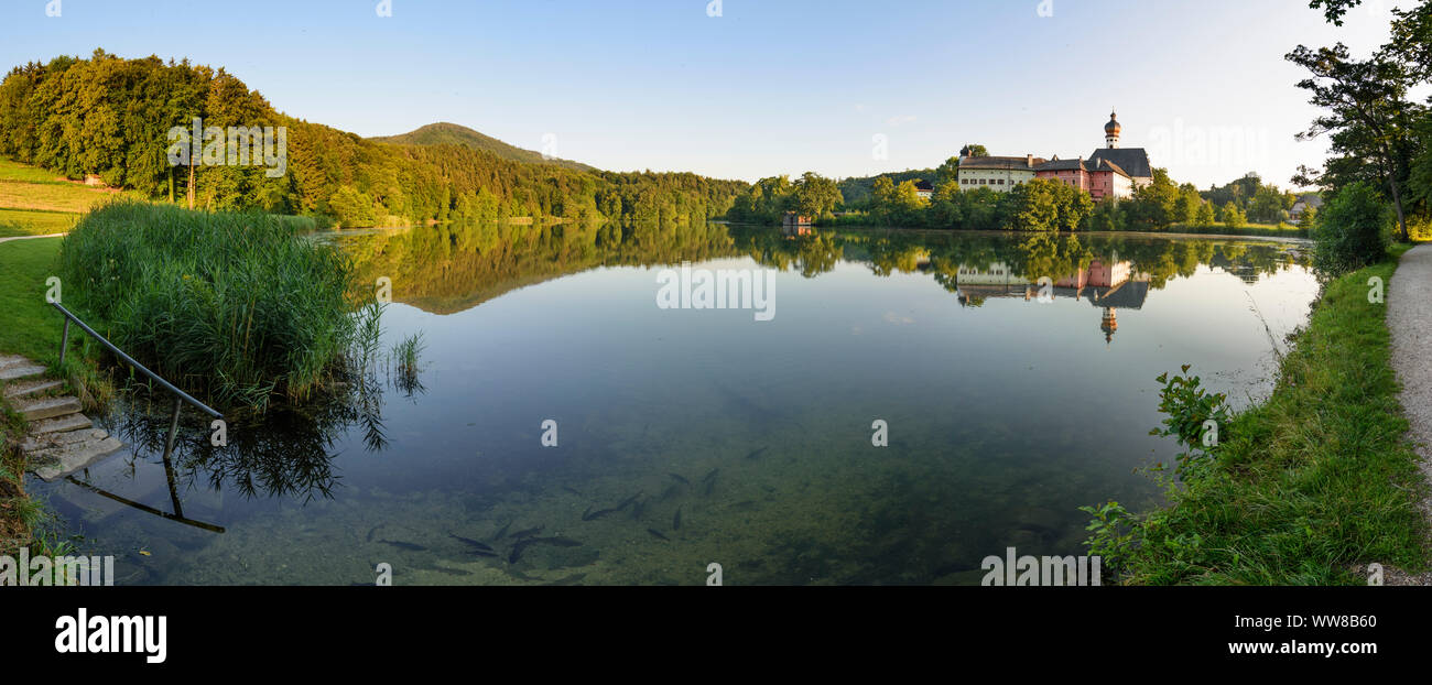 Ha rth hi-res stock photography and images - Alamy