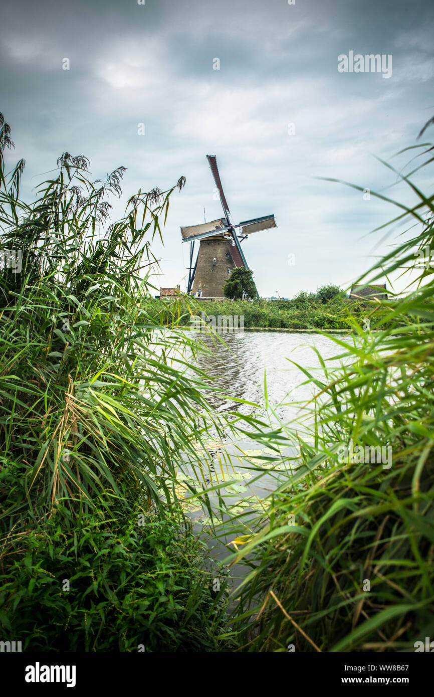 View of traditional Dutch Windmill and landscape seen from Kinderdijk ...