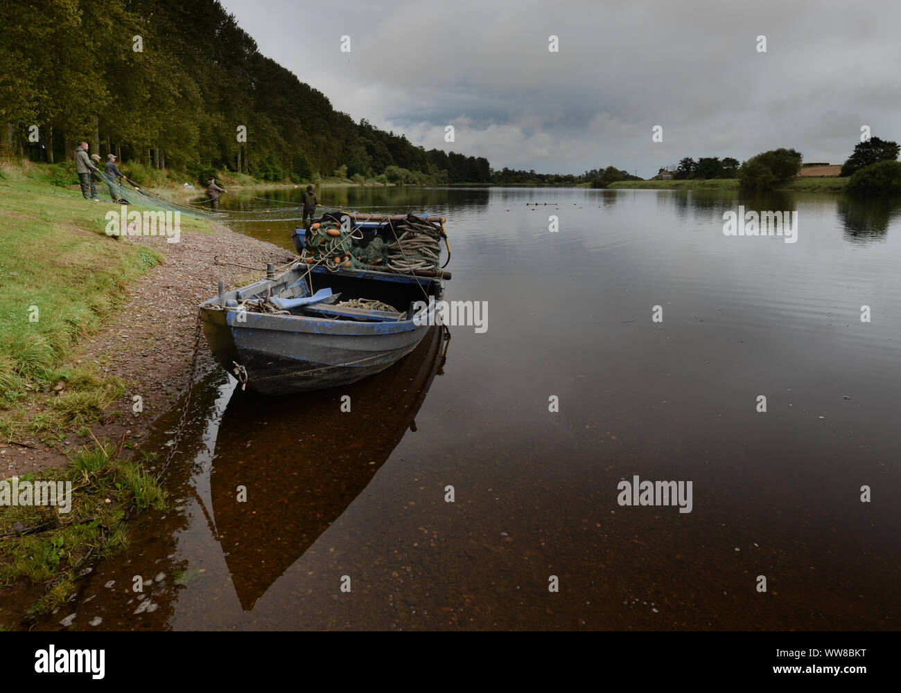 Atlantic salmon uk river hi-res stock photography and images - Alamy