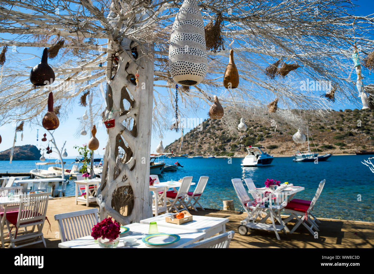 Informal beachside seating with decorative tree in the scenic tourist ...