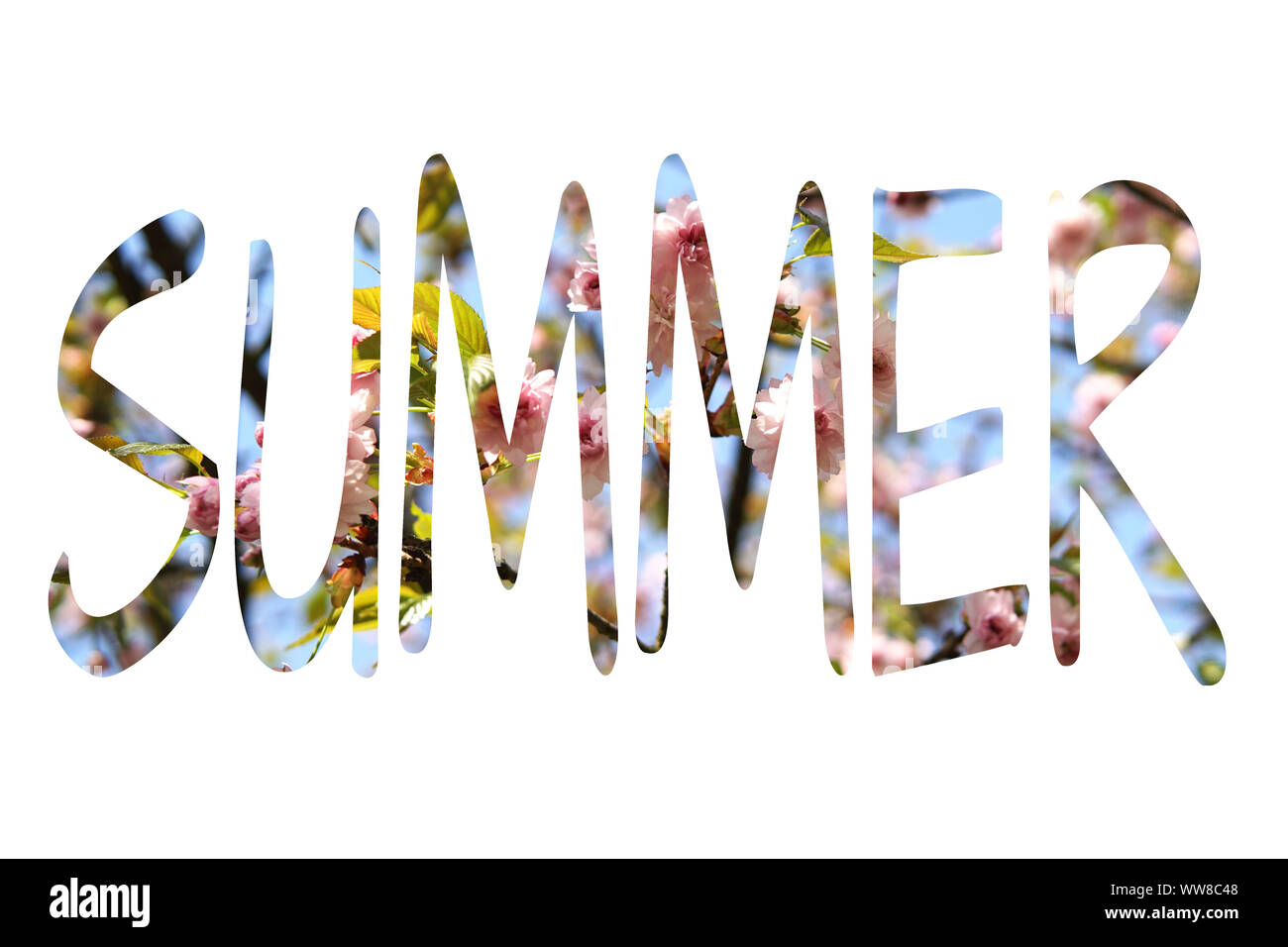 The word SUMMER made of beautiful pink flower isolated on white ...