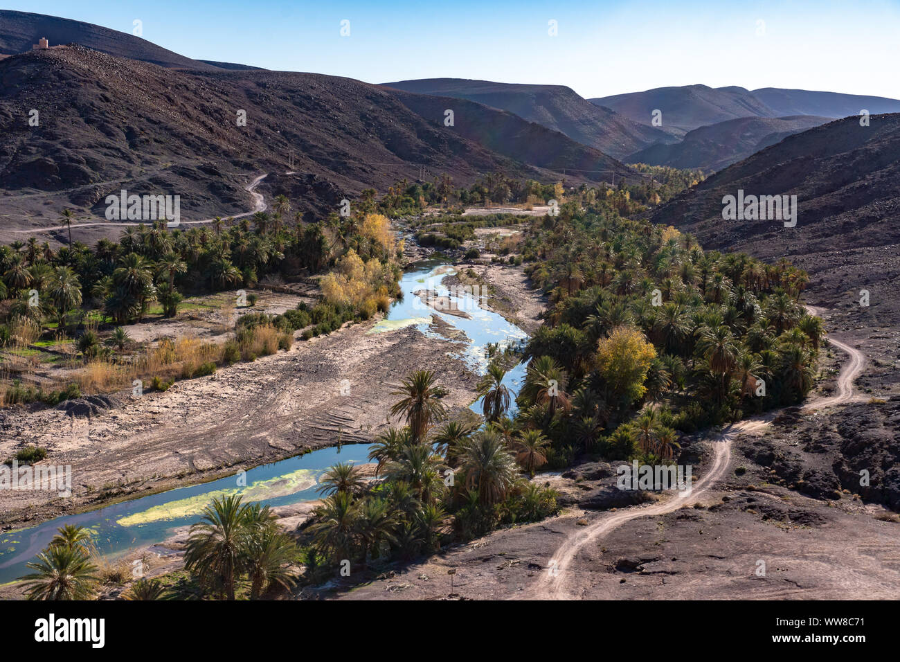 Beautiful Desert oasis landscape in Oasis De Fint near Ourzazate in ...