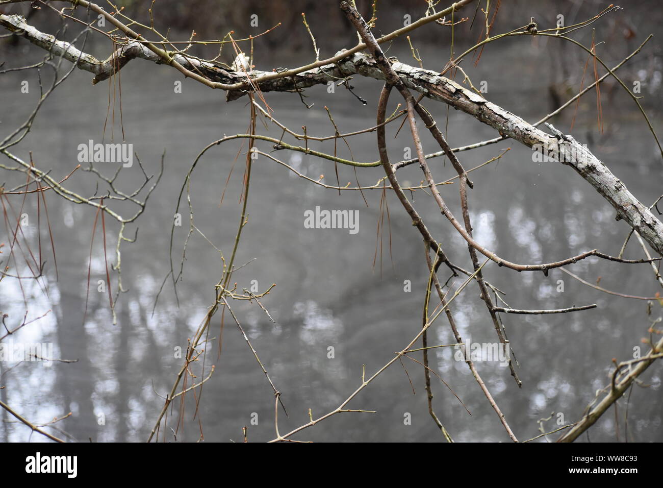 outdoor picture in various location Stock Photo - Alamy