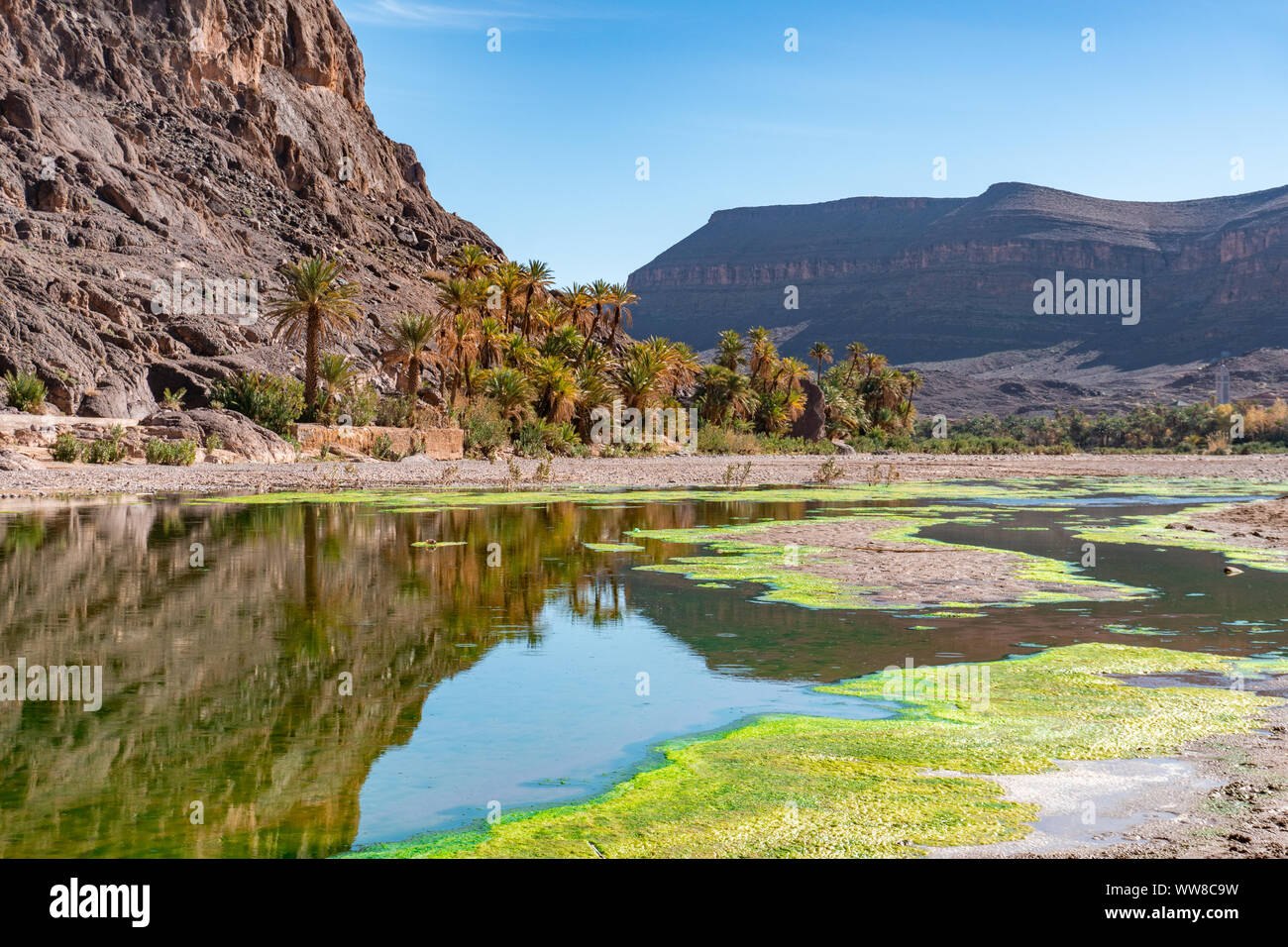 Fresh river in Beautiful Desert oasis nature landscape in Oasis De Fint ...