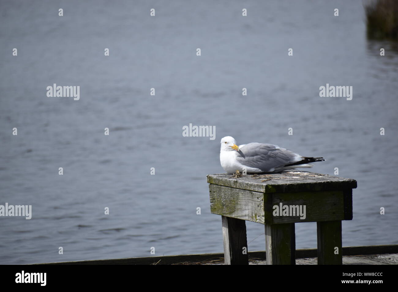 outdoor picture in various location Stock Photo - Alamy