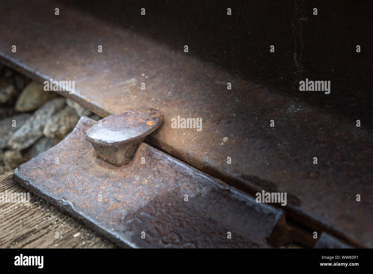 Closeup of a rusty, old railroad spike on abandoned railroad tracks in ...