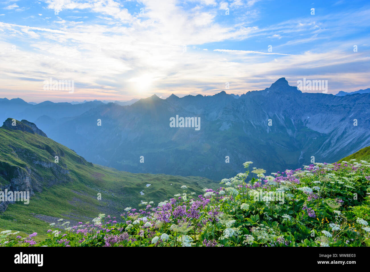AllgÃ¤uer Alpen, sunrise at mountain summit Hochvogel, valley BÃ ...