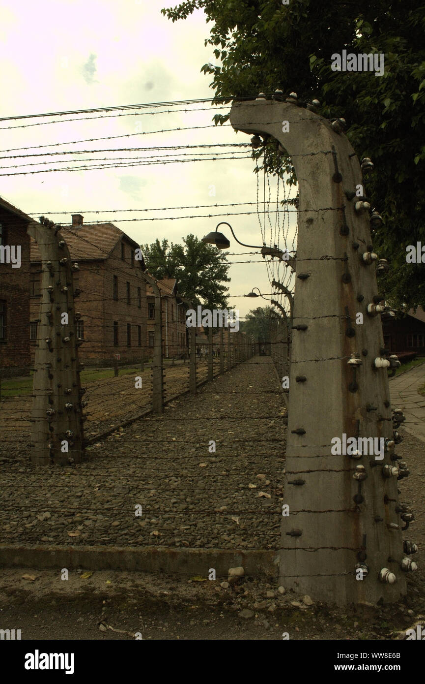 Auschwitz barbed wire security fence around the perimeter Stock Photo ...