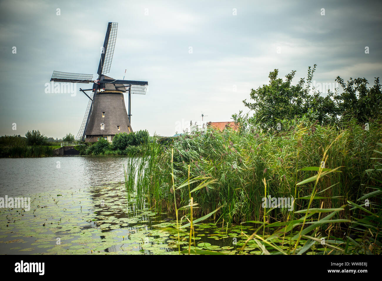 View of traditional Dutch Windmill and landscape seen from Kinderdijk ...