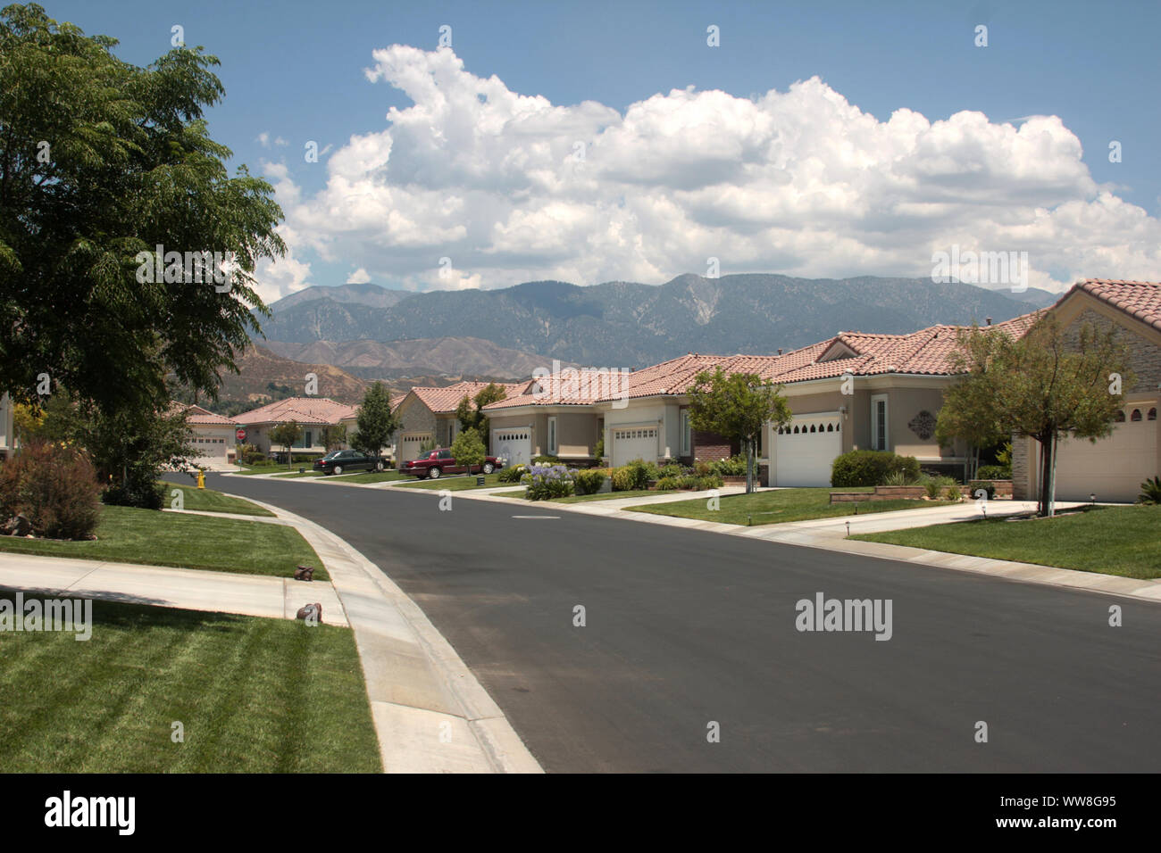 Sonoran desert palm springs hi-res stock photography and images - Alamy