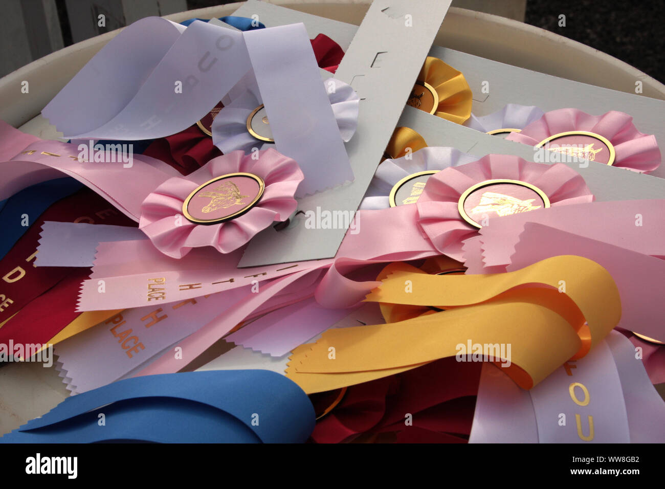 First place ribbons hi-res stock photography and images - Alamy