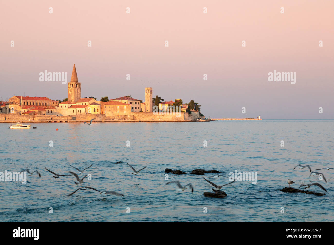Porec, old town coast view with seagulls flying over the sea, Istria ...