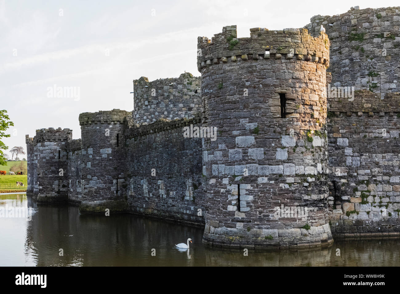 Wales, Anglesey, Beaumaris, Beaumaris Castle Stock Photo - Alamy
