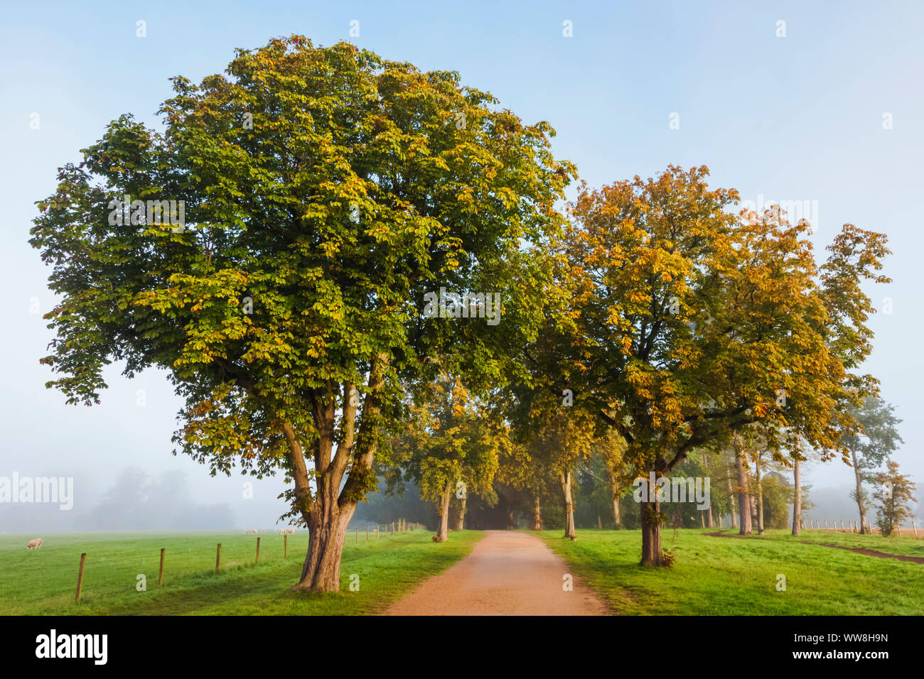 Empty gardens hi-res stock photography and images - Alamy