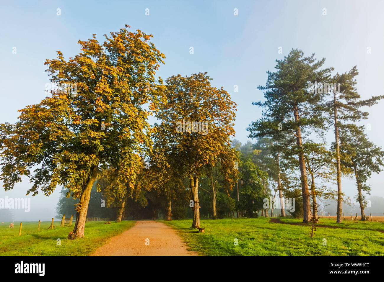 Stowe buckinghamshire spring hi-res stock photography and images - Alamy