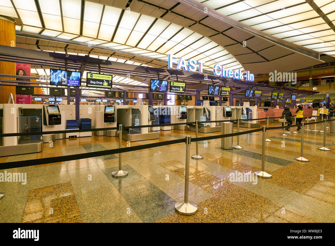 SINGAPORE - CIRCA APRIL, 2019: check-in area at Singapore Changi ...