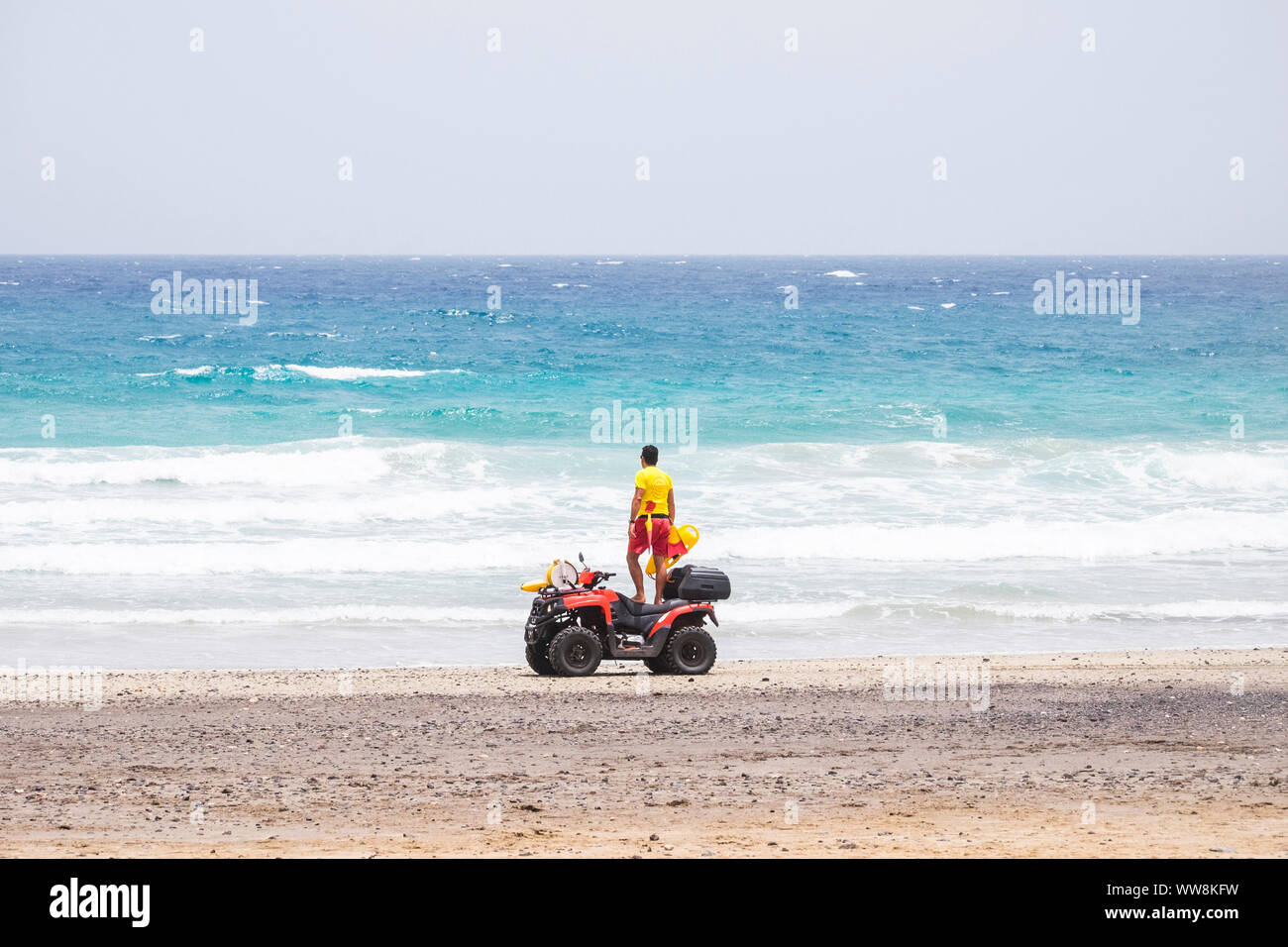lifeguard on motorbike check and look on the ocean to verify the ...