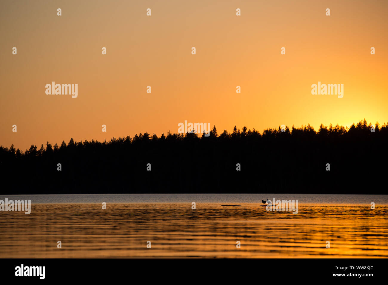 Queue finland hi-res stock photography and images - Alamy