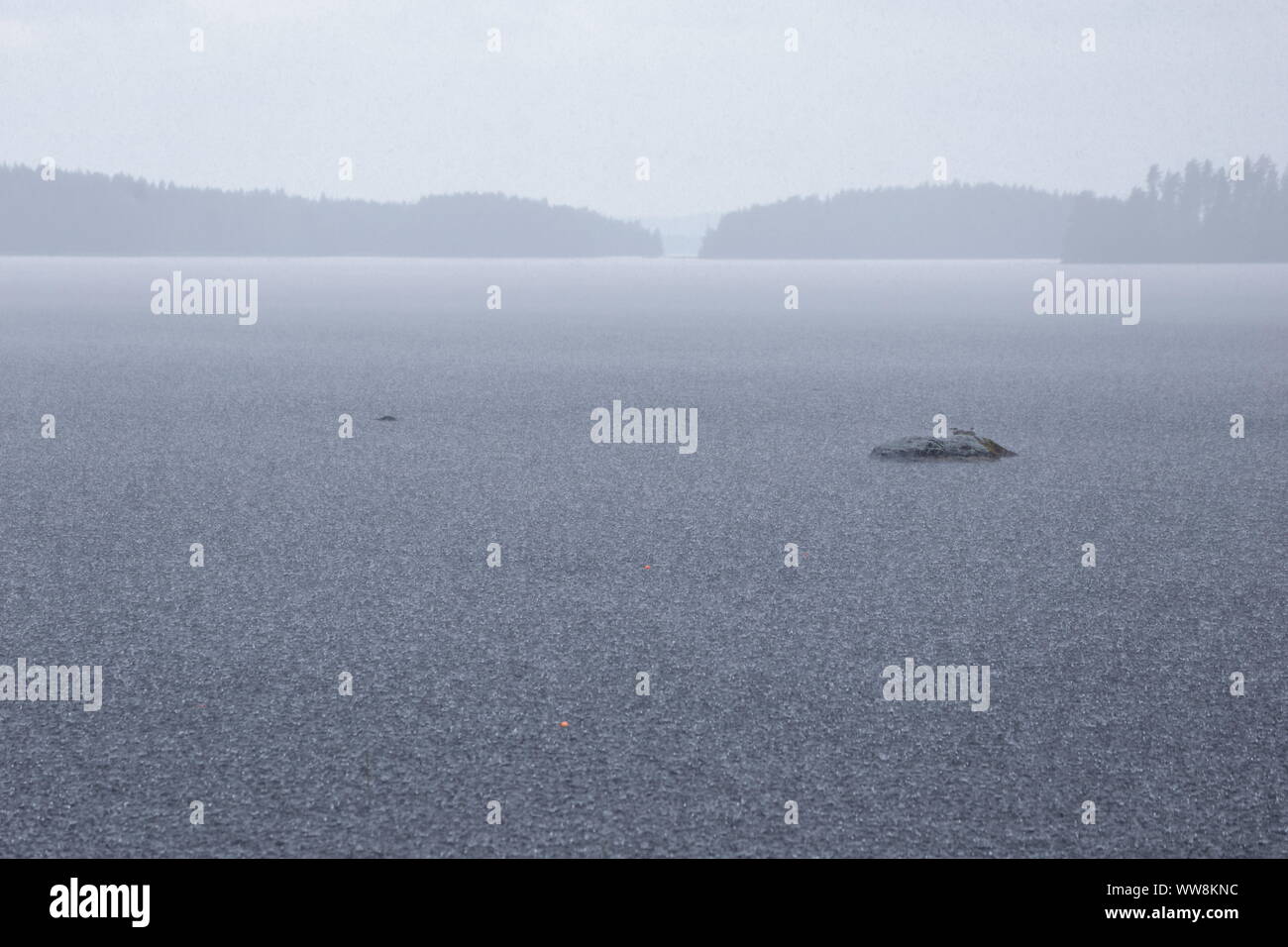 Heavy rain, lakescape, Finland Stock Photo - Alamy