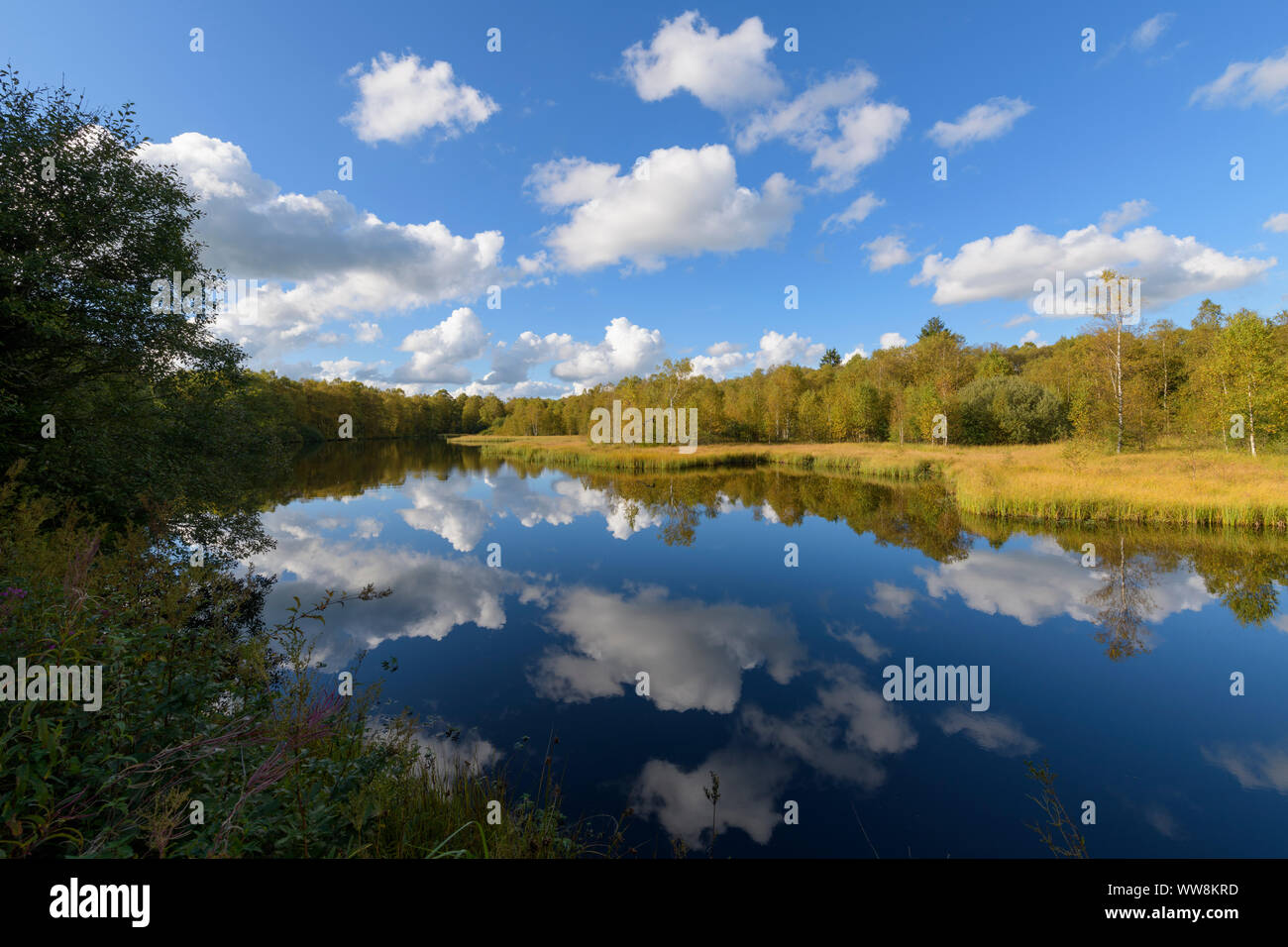 Lake Moorweiher, Red moor, Rotes Moor, Gersfeld, RhÃ¶n Mountain Range ...