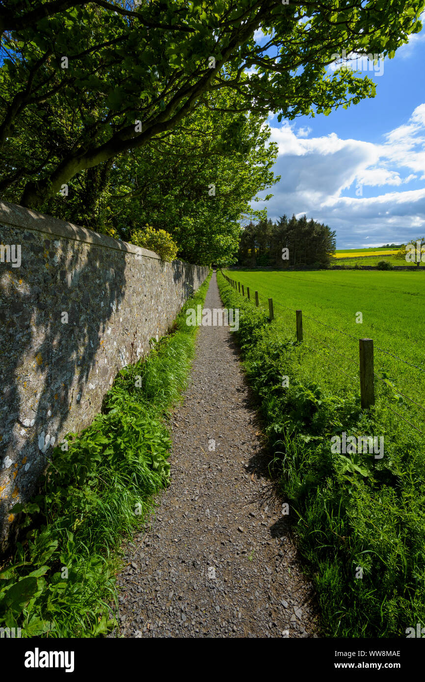 Path in countryside, St Abbs, Scotland, United Kingdom Stock Photo - Alamy