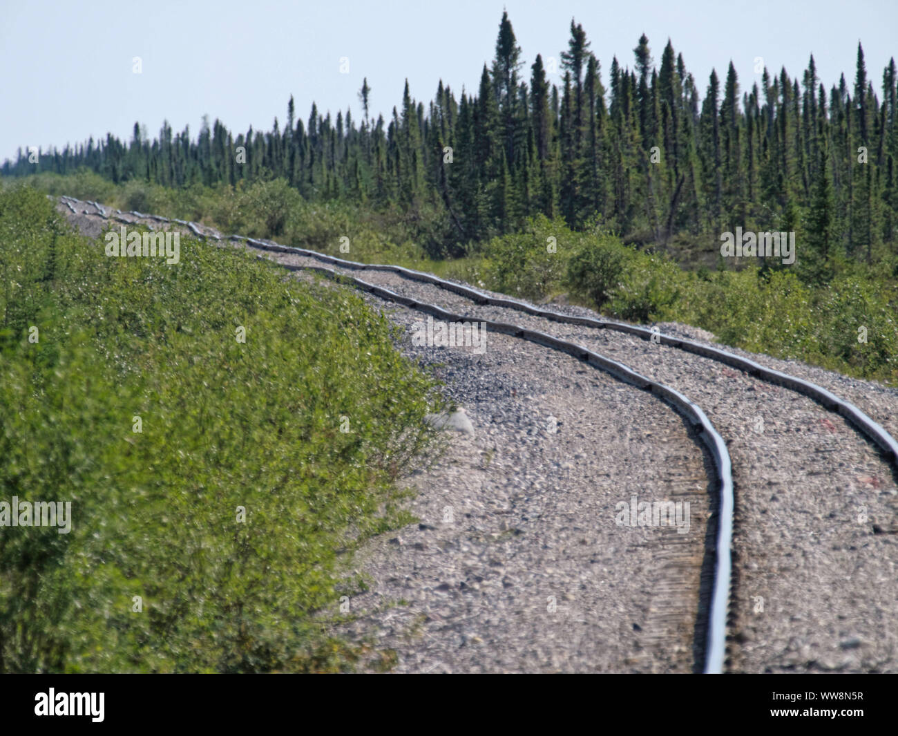 Muskeg hi-res stock photography and images - Alamy