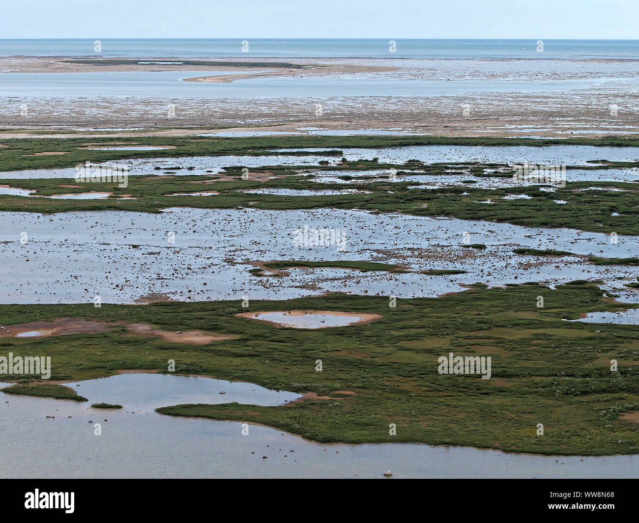 Tidal pools hi-res stock photography and images - Alamy