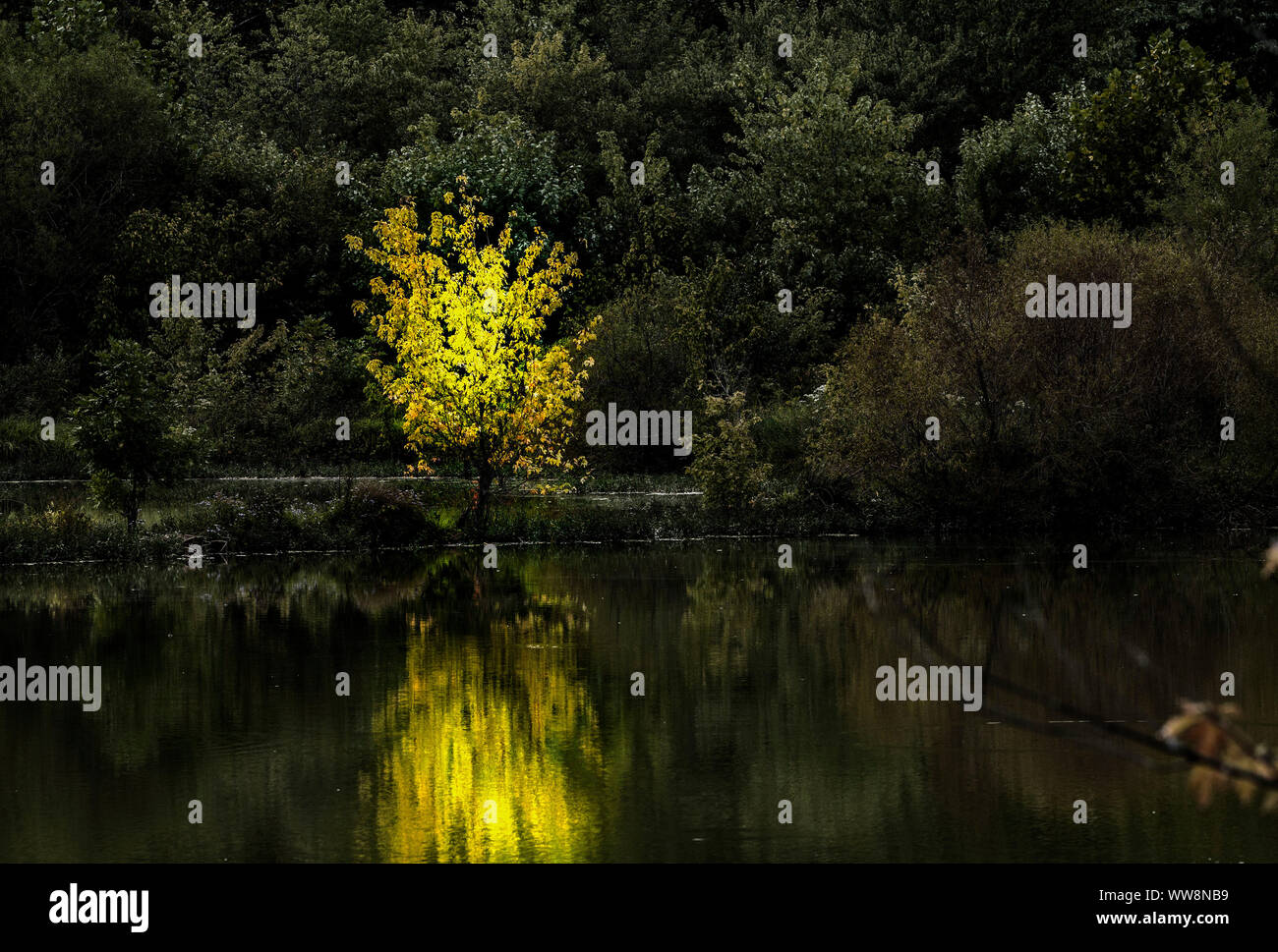 Shining light hi-res stock photography and images - Alamy
