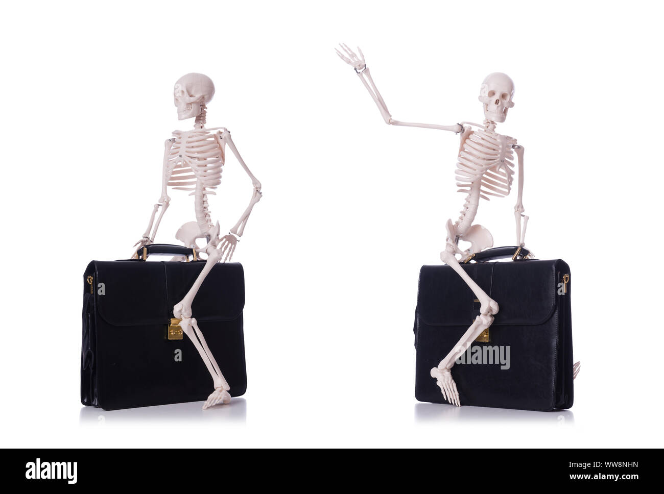 The skeleton with suitcase isolated on white Stock Photo - Alamy