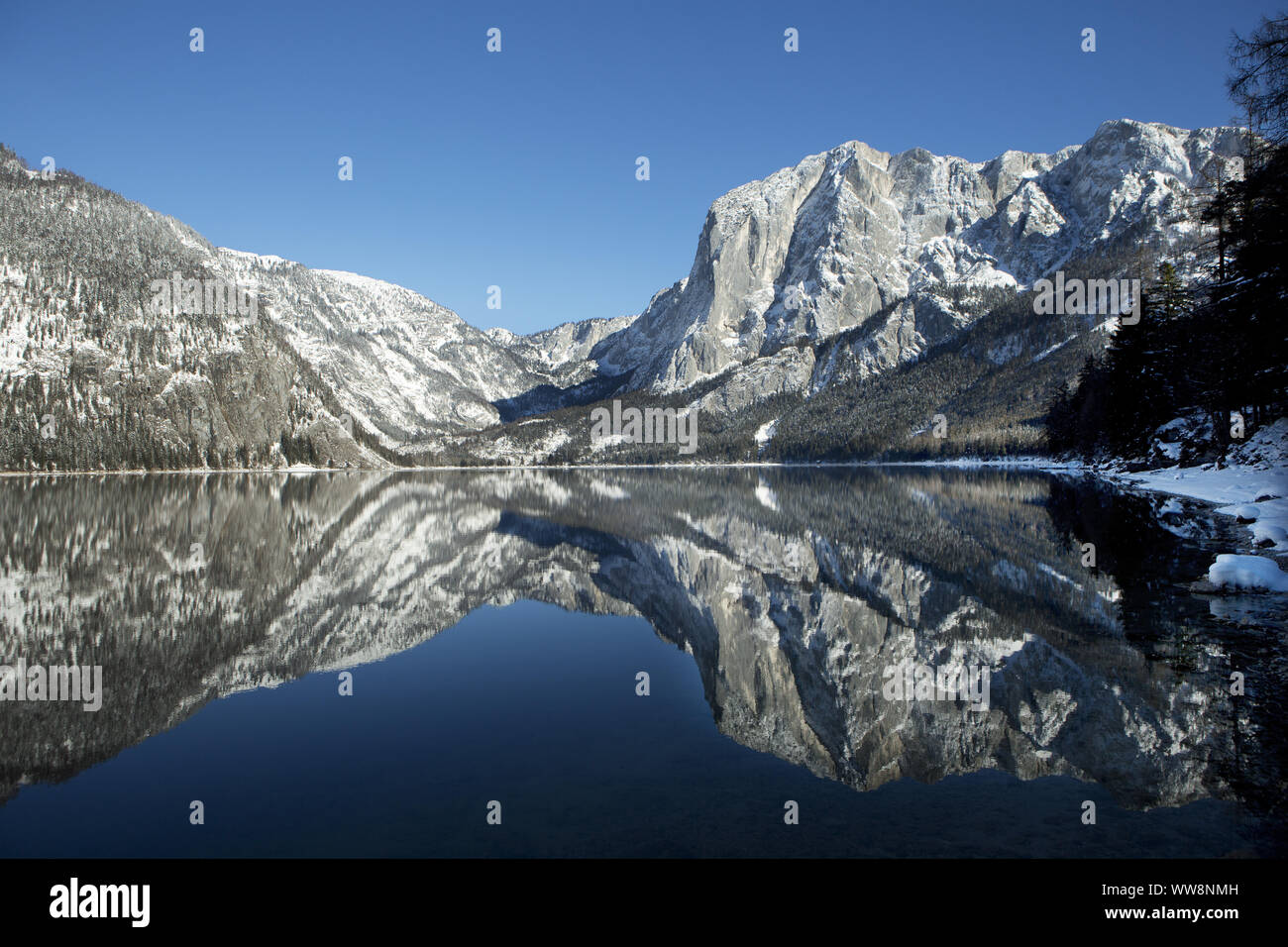 View of forest austria salzkammergut hi-res stock photography and ...