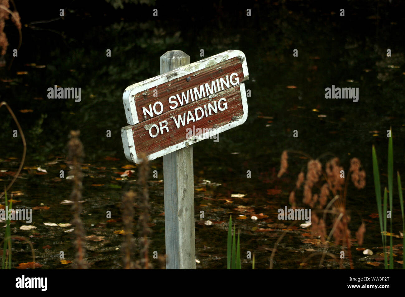 Peaks view park hi-res stock photography and images - Alamy